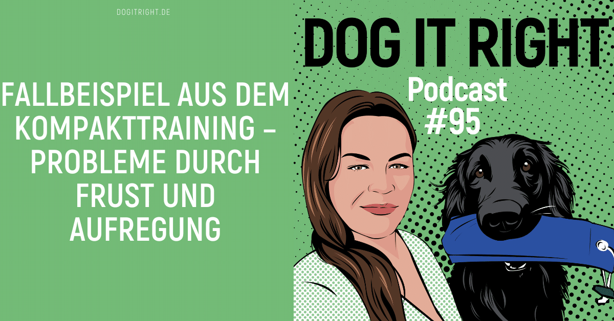 #95: Fallbeispiel aus dem Kompakttraining – Probleme durch Frust und ...