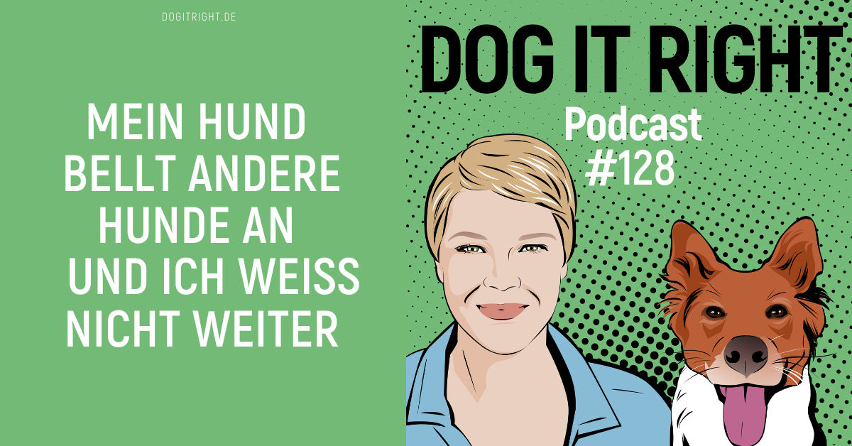 Mein Hund bellt andere Hunde an und ich weiß nicht weiter