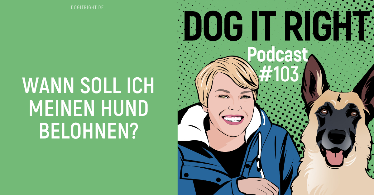 Wann soll ich meinen Hund belohnen? | Dog It Right Podcast