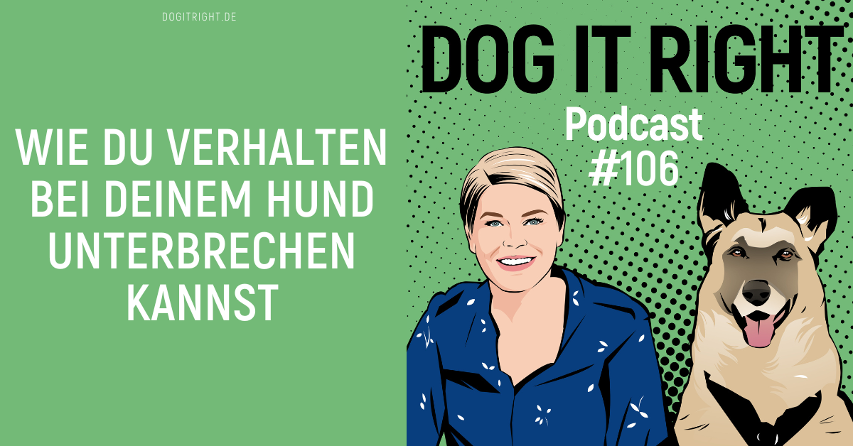 Wie du Verhalten bei deinem Hund unterbrechen kannst | Dog It Right Podcast